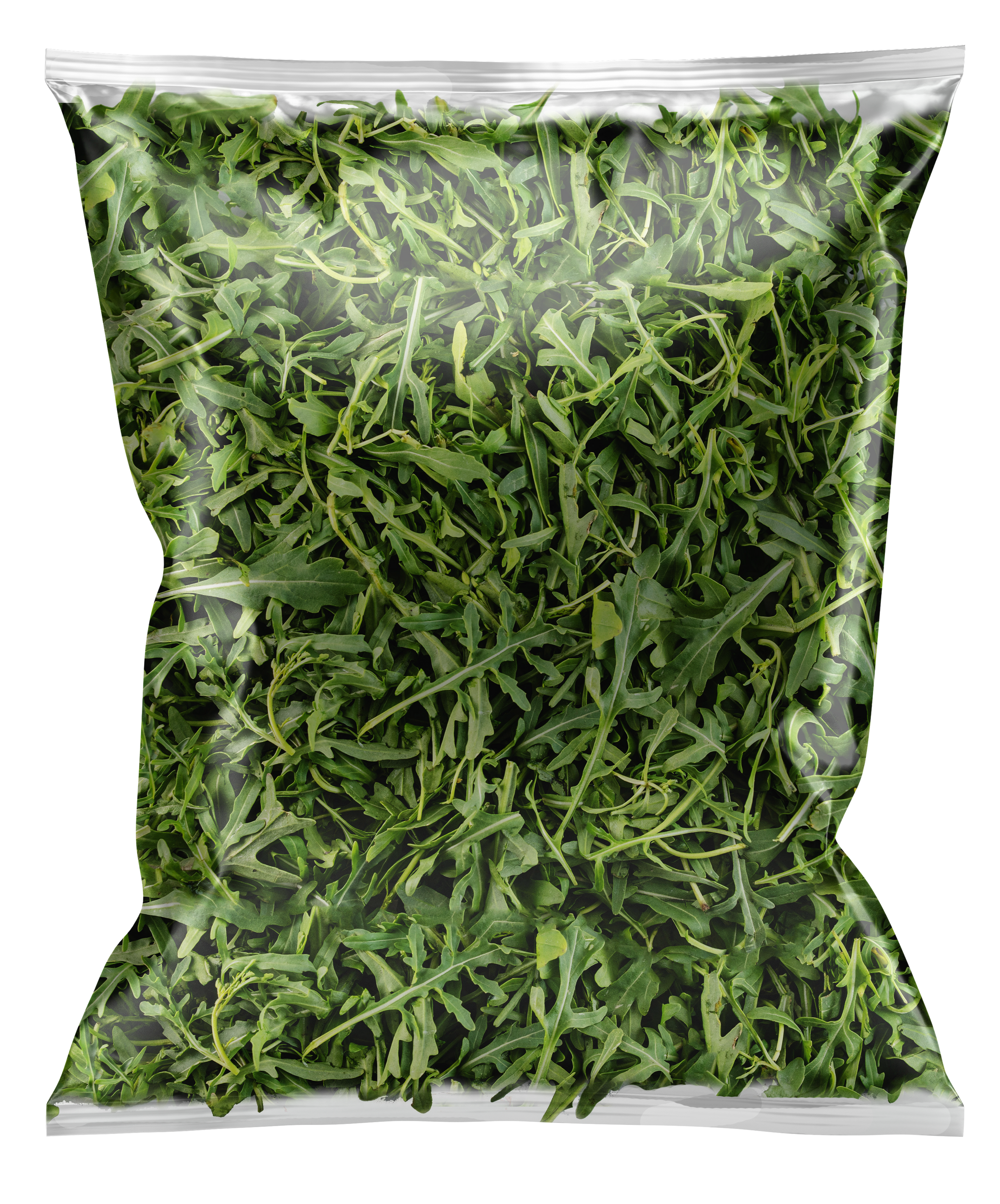 Arugula 1Kg ( caja con 1 pza) – Vegetalistos